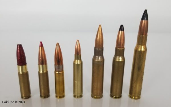 SilencerCo Blog: Understanding Subsonic Versus Supersonic Ammunition