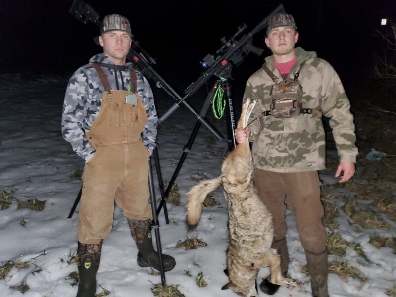 SilencerCo Blog: Hunting Tough Eastern Coyotes with the Omega 300