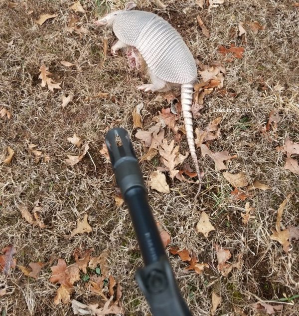 SilencerCo Blog: Hunting Hoover Hogs (Armadillos) with the Harvester
