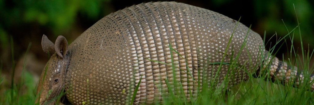 All About Silencers - Page 9 of 12 - SilencerCo